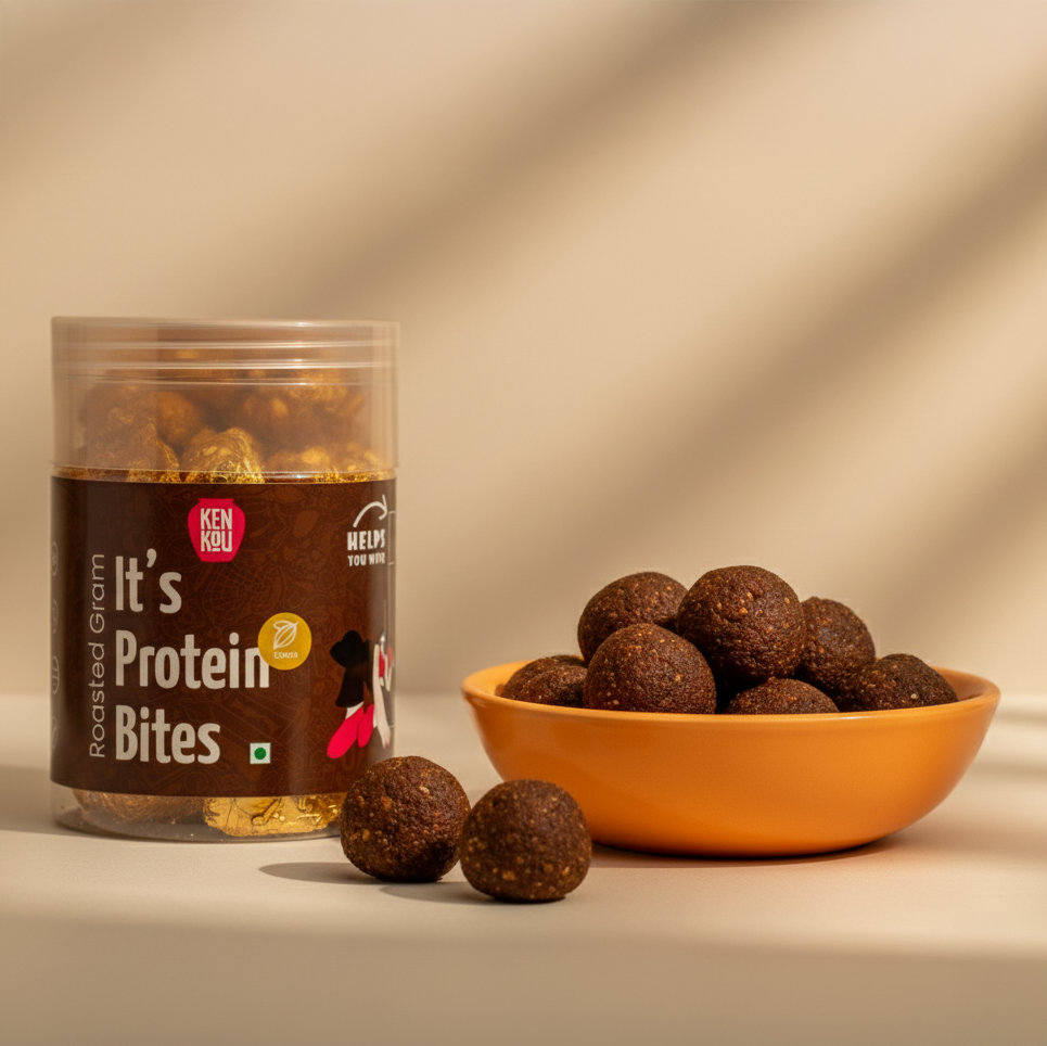 It's Protein Bites - Roasted Gram & Cocoa | 225g – Kenkou